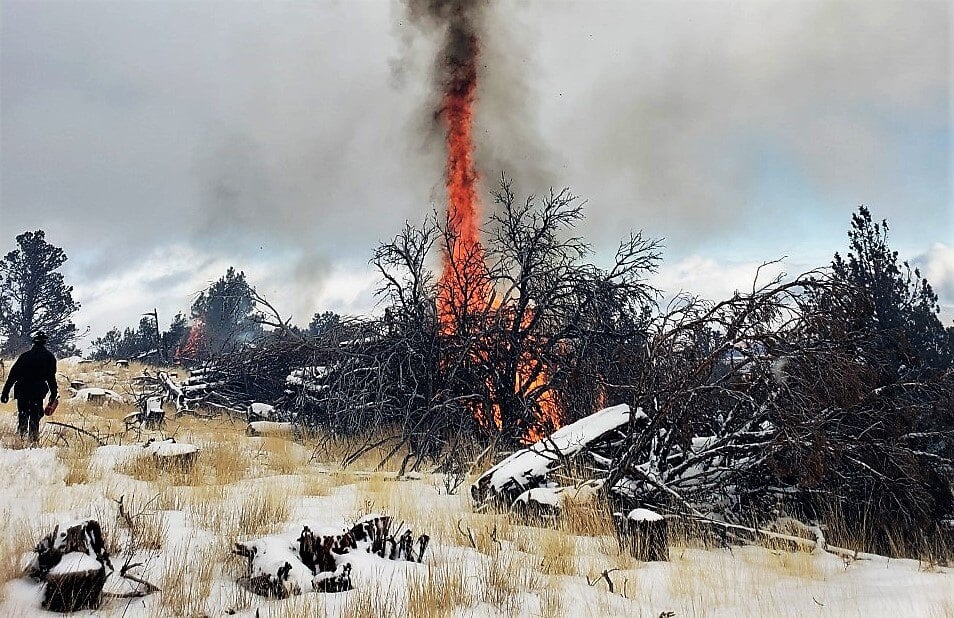 Burned Biomass Burial: A New Frontier in Carbon Removal and Wildfire ...