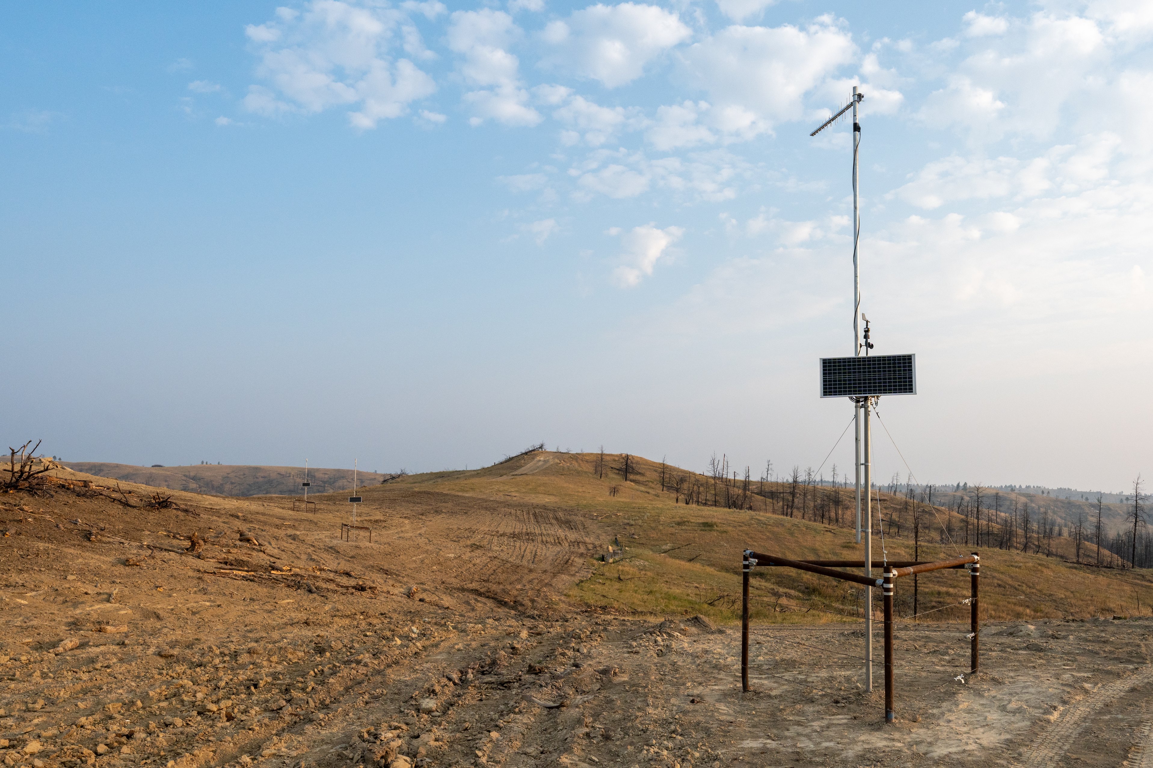 Designing Restoration: How Tiffani Turns Science Into Action at Mast