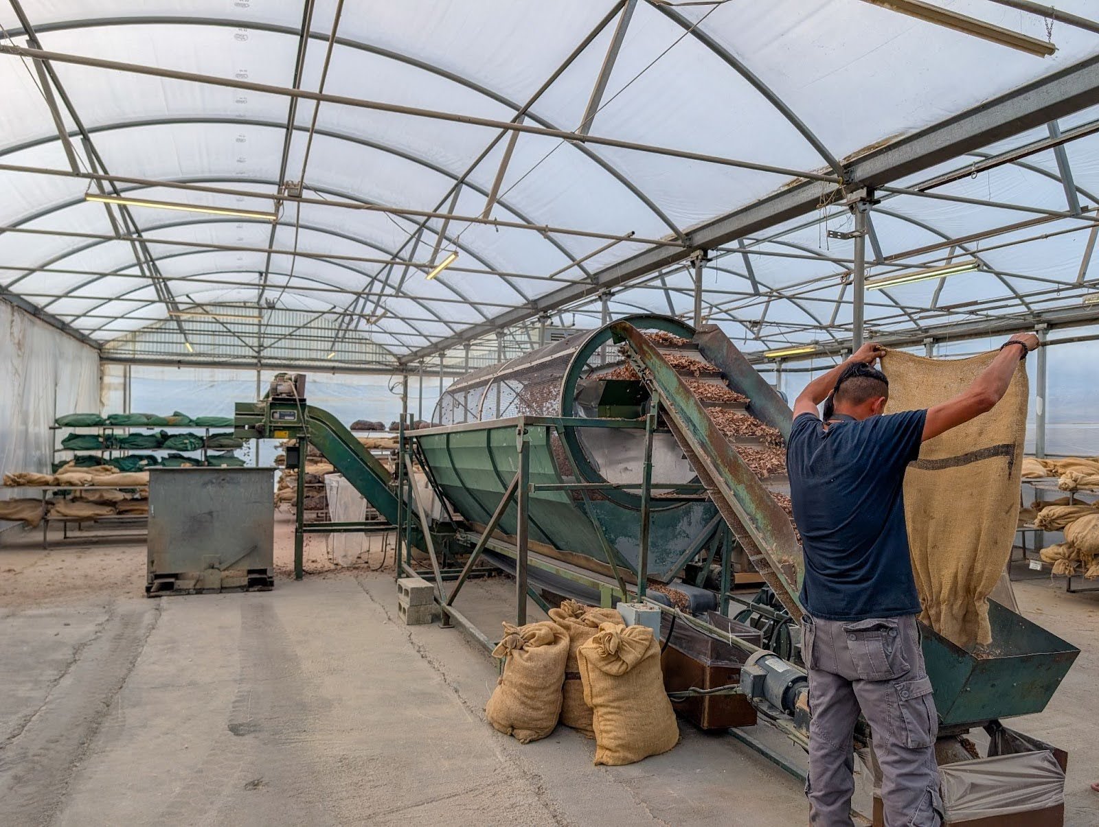 The West’s Reforestation Powerhouse: Inside Cal Forest’s Seed ...
